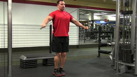 Abdomene cu ab roller-ul